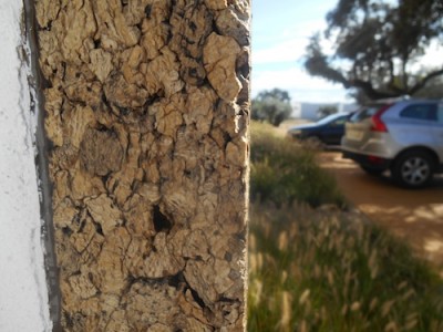 Sun, solace and spectacular scenary in Portugal’s unspoilt Alentejo ...